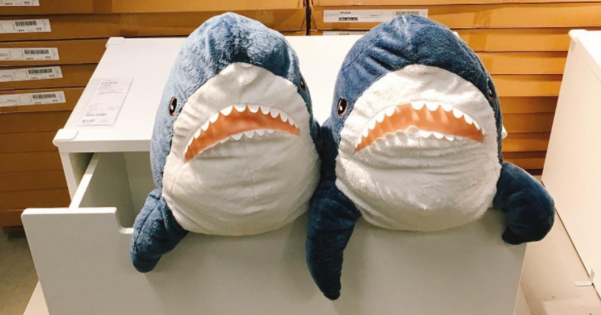 IKEA「鯊魚」打敗小豬成為民眾搶購的對象，手腳慢一點可能已經被搶光了！ - boMb01