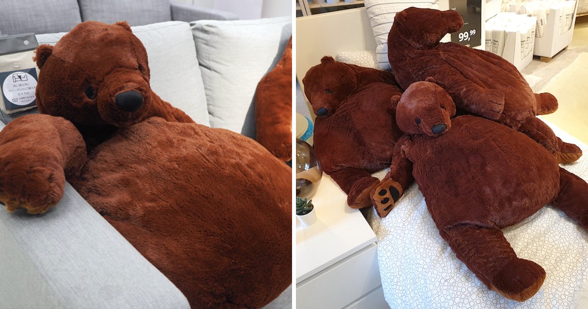 IKEA鯊鯊接班人！超懶散「厭世熊」引起搶購 擺著就能耍廢：不想努力了～ - boMb01
